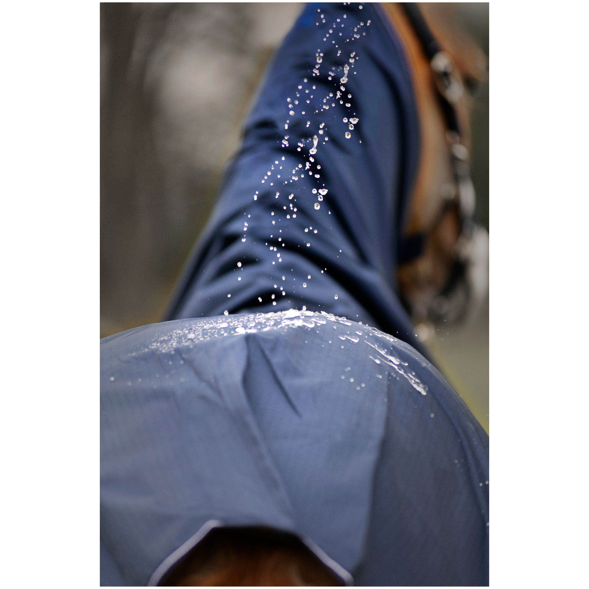 Equiline Rain Rug Corby - Royal Equestrian