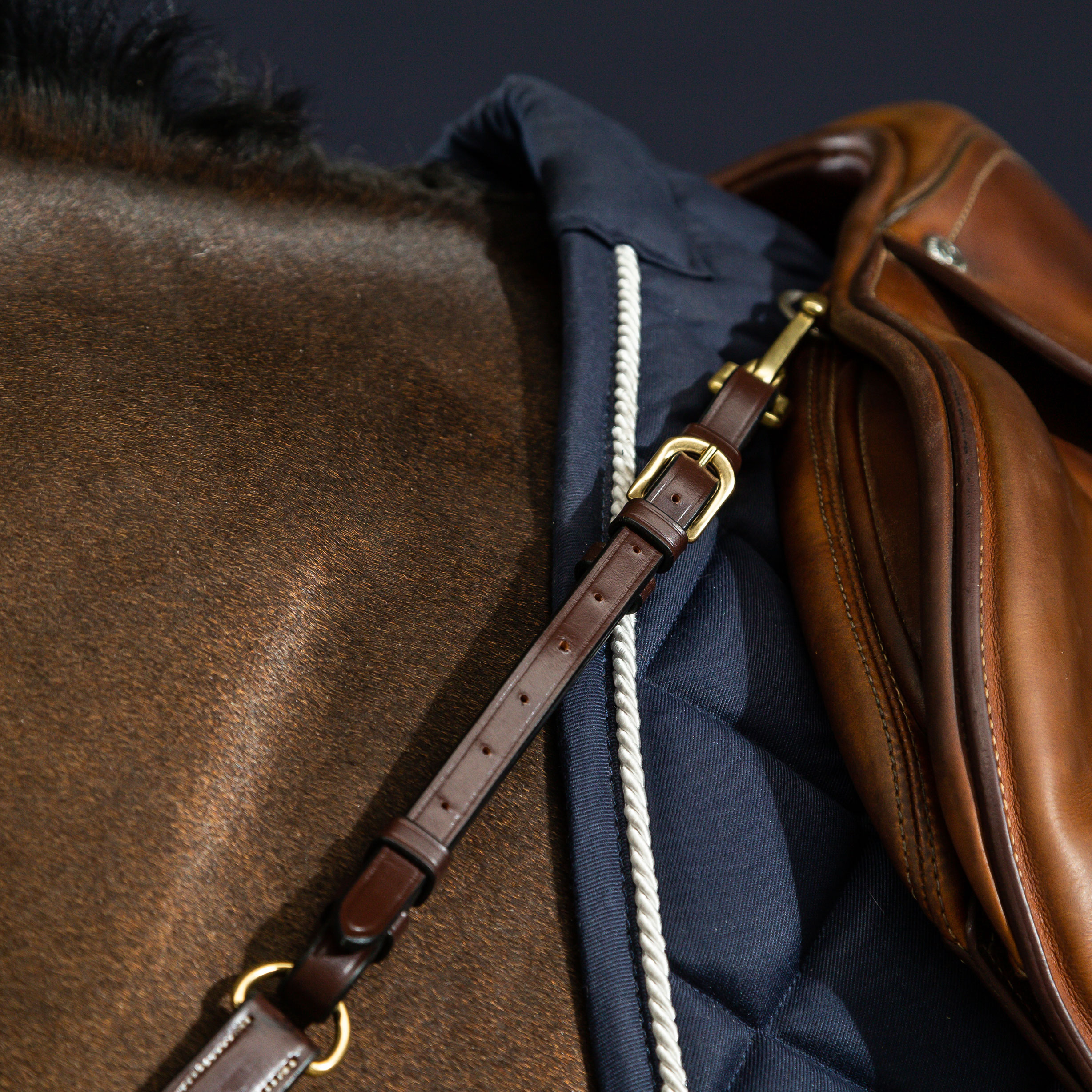 Dy'on D Collection Breastplate - Royal Equestrian