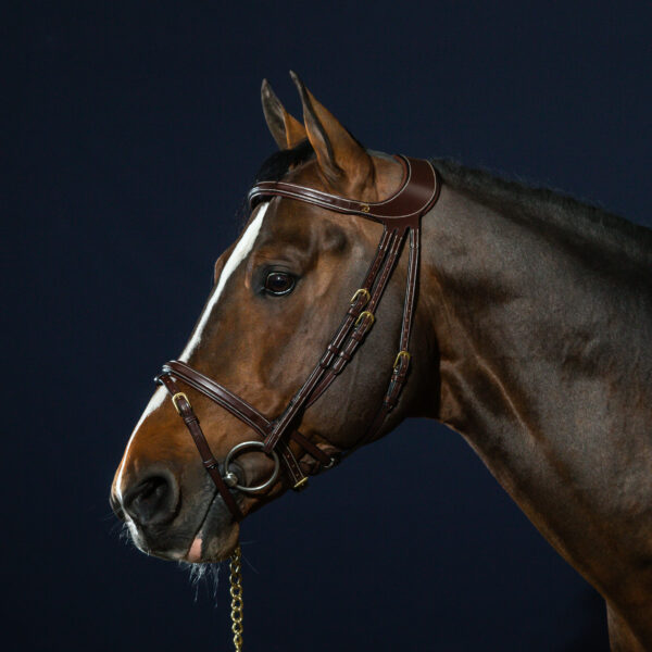 Dy'on D Collection Difference Bridle - Royal Equestrian I Your Equine ...