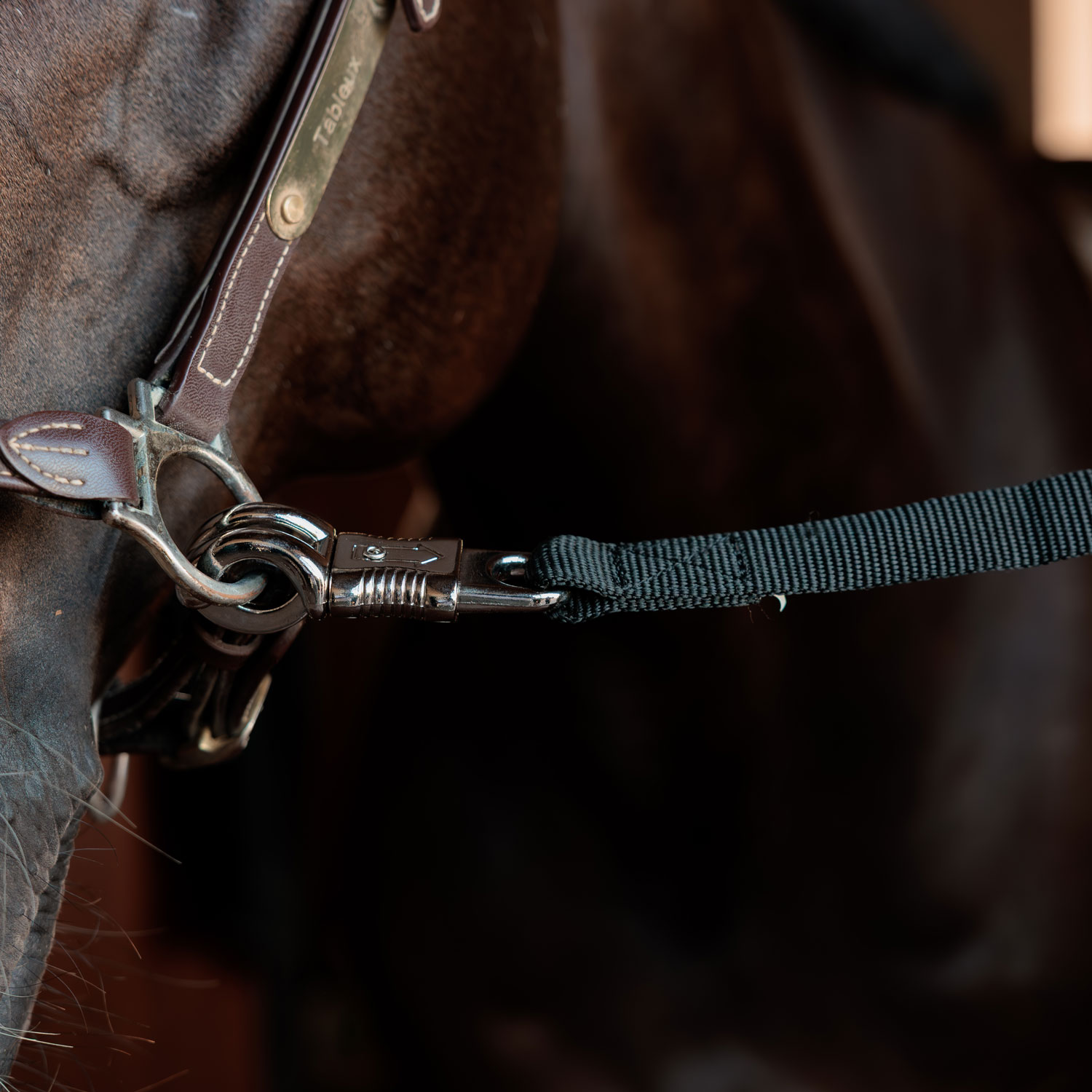 Kentucky Horse Box & Cross Tie Safety Lead - Royal Equestrian I Your ...